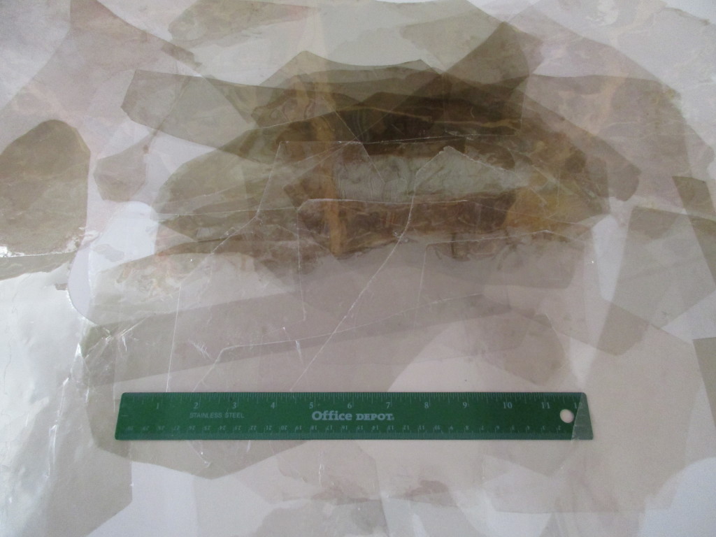 M 003 M 004 B Emerald Village